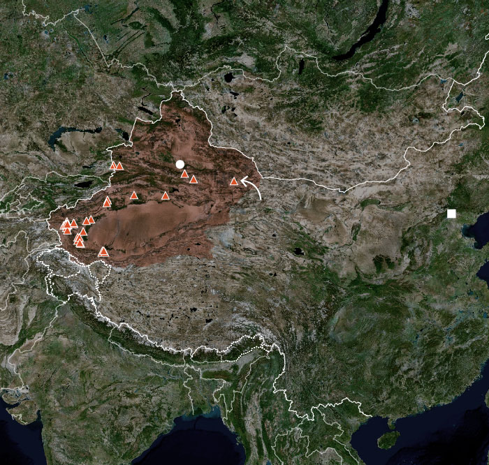 Tracking China’s Muslim Gulag
